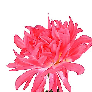 Yuehuam Solar Garden Stake Lights, Solar Powered Flower Garden Lights Decorative Pathway Light Outdoor Waterproof for Flowerbed Garden, Patio, Backyard Decoration(Red)