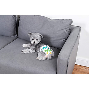 Hi Sprout Female Dog Diaper Reusable Washable Durable Absorbent Cloth Doggie Diapers Pants-Butterfly and Toucan XS