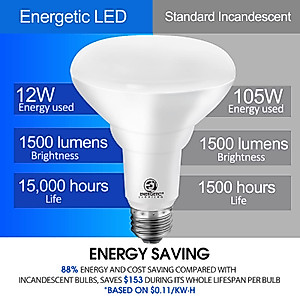 Energetic LED Recessed Light Bulbs BR30, 105W Equivalent, 1500LM, Dimmable, Warm White 3000K, Indoor Flood Lights for Recessed Cans, UL Listed, 12 Pack