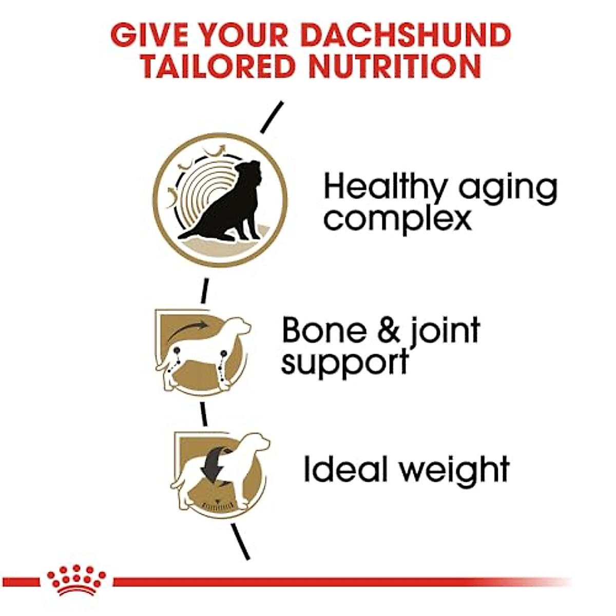 Royal Canin Breed Health Nutrition Dachshund Teckel 8+ Adult Dry Dog Food, 3 lb bag