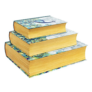 Punch Studio Book Box, Multicolored