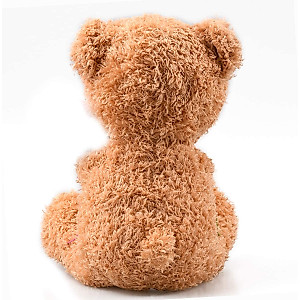 AnSun Teddy Bear 12” Plush Bear I Love You,Stuffed Bear for Girls Kids, Baby Shower/Birthday/Anniversary