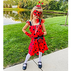 Ladybug Dress Costume for Girls with Polka Dots Tutu Dress Halloween Birthday Dress Up Pretend Play for Kids 3-8 (5-6)