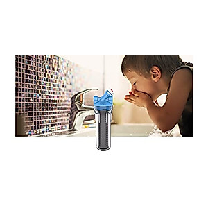Pentair OMNIFilter U30 Filter System, 10" Premium Standard Water Filtration System with Bypass Valve-in-Head, 3/4" NPT, Includes Clear Housing, T01 Cartridge, Wrench and Mounting Bracket, 5 Micron