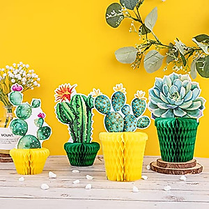 Whaline 10Pcs Cactus Honeycomb Centerpiece Potted Succulent Paper Table Topper Rustic Bloom Theme Summer Party Table Decoration for Birthday Hawaiian Luau Baby Shower Photography