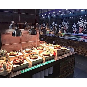 LINKANRUO Food Warmer Lamp, Metal Food Pendant Heat Light Used to Keep Food Warm for Western Restaurant Attract Customer Stylish and Beautiful Multiple Colors to Choose from Lamps