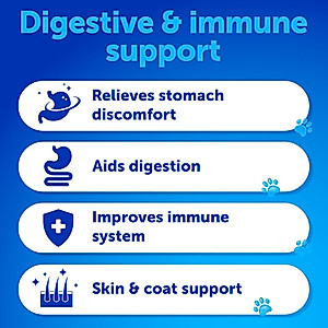 Probiotics for Dogs - Support Gut Health, Itchy Skin, Allergies, Immunity, Yeast Balance - Dog Probiotics and Digestive Enzymes with Prebiotics - Reduce Diarrhea, Gas - 120 Probiotic Chews for Dogs