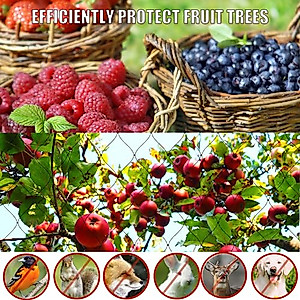 Bird Netting for Chicken Coop - 50x50ft Chicken Netting for Chicken Coop Roof, Poultry Net Coop Netting Cover, Hawk Netting for Chicken Run Fence, 2.4" Mesh Anti Bird Net for Garden Aviary Tree Deers