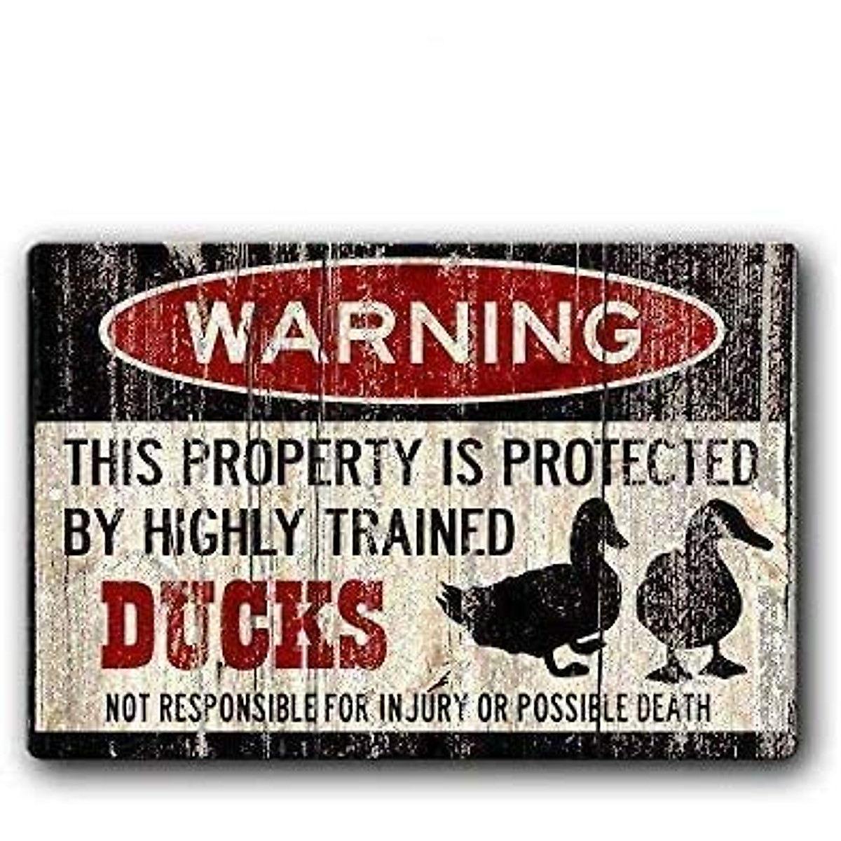 Tin speaking Fashionable Duck Sign,Duck Eggs,Funny Duck Sign Iron Painting 8X12 INCH Metal Tin Sign