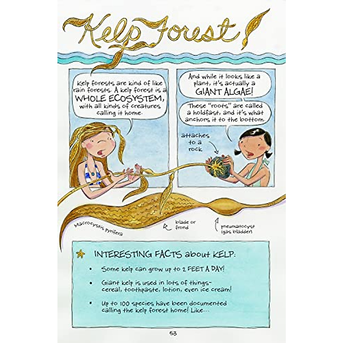 The Science of Surfing: A Surfside Girls Guide to the Ocean