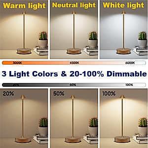 Willdoak Cordless Table Lamp Rechargeable, 6000mAh Battery Operated LED Table Light, Stepless Dimming Portable Waterproof Touch Table Lamp for Patio Restaurant Outdoor