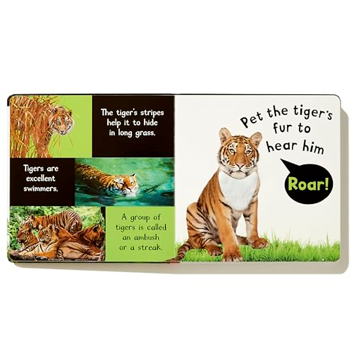 Noisy Animals: Includes Six Sounds! (My First)