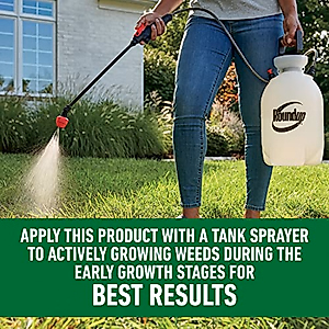 Roundup For Lawns₂ Concentrate, Weed Killer for Northern Grasses, Kills Crabgrass, 32 fl. oz.