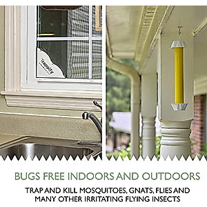 Trappify Sticky Gnat and Fly Traps for Home Pest Control - Fly, Gnats, Moths and Other Flying Insects Killer with Extra Sticky Adhesive Disposable Fly and Moths Catcher - 22 Traps