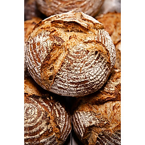 Fox Run Stainless Steel Bread Lame, 15 Blades and Wood Handle