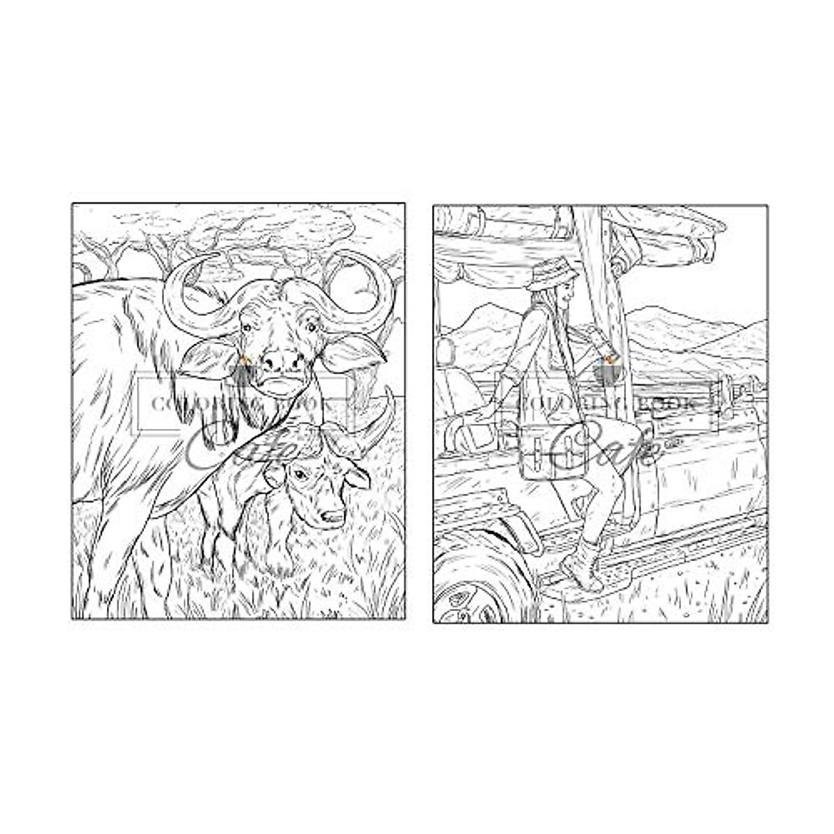 100 Wildlife Scenes: An Adult Coloring Book Featuring 100 Most Beautiful Wildlife Scenes with Animals, Birds and Flowers from Oceans, Jungles, Forests and Savannas