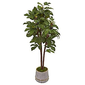Nearly Natural 47in. Fig Artificial Tree in Stoneware Vase with Gold Trimming