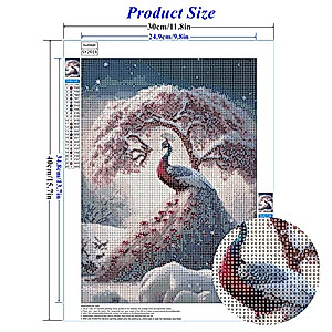 NASHRIO 5D Diamond Art Kits for Adults, Winter Peacock Diamond Art Kits, DIY Full Drill Crystal Gem Arts and Crafts, Suitable for Home Leisure and Wall Decoration (11.8x15.7 inch)