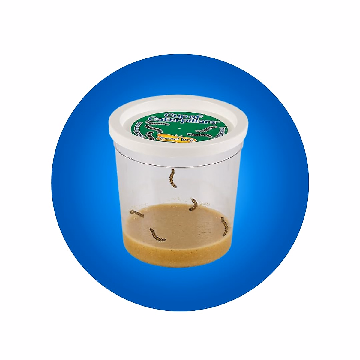 Insect Lore - Butterfly Growing Kit - With Voucher to Redeem Caterpillars Later