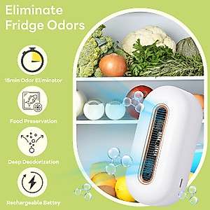 Mini USB Fridge Deodorizer Refrigerator: Odor Eliminator Reusable Ozone Odor Deodorizer USB Rechargeable with Hanging Holder for Fridge, Car, Closet, Wardrobe