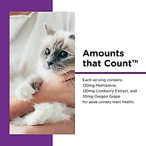 Nutri-Vet Uri-Ease Paw Gel for Cats |Helps Maintain Urinary Tract Health| Salmon Flavor | 3 ounces