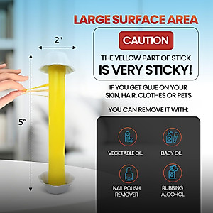 Fly Traps, Ultra Sticky, Non-Toxic, Safe & Ready to use! - Hang Anywhere, Catch Them All! (2 Pack)