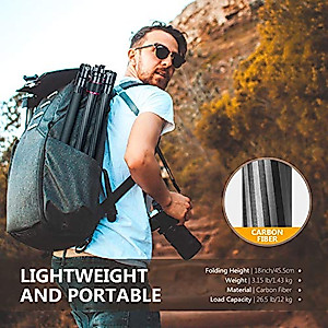 Neewer Carbon Fiber 66 inches/168 centimeters Camera Tripod Monopod with 360 Degree Ball Head,1/4 inch Quick Shoe Plate,Bag for DSLR Camera,Video Camcorder,Load up to 26.5 pounds/12 kilograms