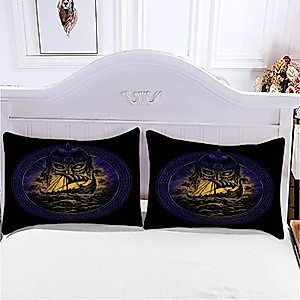 Quilt Cover Twin Size Viking Ship 3D Bedding Sets Sea of Storms and Draka Duvet Cover Breathable Hypoallergenic Stain Wrinkle Resistant Microfiber with Zipper Closure,beding Set with 2 Pillowcase