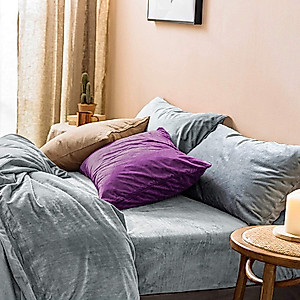 FLXXIE 2 Pack Standard Zipped Velvet Pillowcases, Soft and Cozy Solid Decorative Pillow Cases with Hidden Zipper for Bedroom, Sofa, Couch, 20x26 Inches, Camel