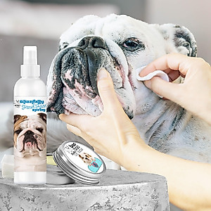 The Blissful Dog Blissfully Fresh Face Wash - Cleans Facial Folds and Wrinkles, 4-Ounce, Bulldog