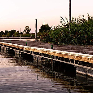 TOMAR 485S-G Microstrobe E26 Medium Bulb Base, 120VAC, Green Lens (Green, Screw-in Base (120 VAC))