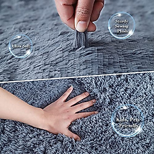 YUFANUHO Blue Area Rugs for Living Room, Ultra Soft 5x7 Feet Blue Grey Shaggy Rugs for Bedroom, Kids Room, Home Decor High Pile Velvety 5'x7' Shag Carpets Blue/Grey