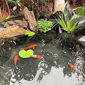 Adroiteet 7 x 10 FT Pond Liner, 20 Mil Fish Pond HDPE Liner, Pond Liners for Outdoor Ponds, Koi Ponds, Garden Fountain, Waterfall