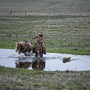 Carhartt Firm Duck Insulated Dog Chore Coat Army Green/Brass , Large