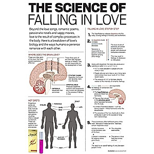 Limited Edition Premium Human Pheromones to Attract Men - Pheromone Perfume For Women (10ml oil base)