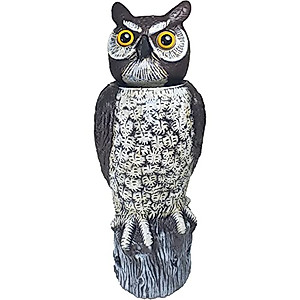 Dalen SOL-R Action Solar Fake Owl Decoy to Scare Birds Away from Gardens, Rooftops, and Patios - Scarecrow Provides Chemical-Free Pest Control - Safe and Humane, 18" 360º Rotating Head
