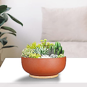 SQOWL 10 Inch Large Terracotta Planter Pot,Clay Succulent Bonsai Planter with Drainage Hole and Bamboo Saucer for Indoor Plants