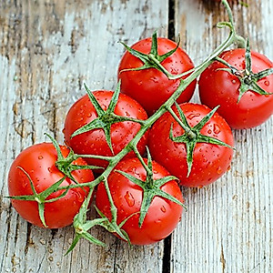 Gaea's Blessing Seeds - Tomato Seeds - Small Red Cherry Heirloom - Non-GMO Seeds with Easy to Follow Planting Instructions - Open-Pollinated 92% Germination Rate