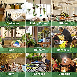 Portable Cordless Double-Sided Fly Trap,Mosquito Trap Outdoor,Fly Repellent,Multi-Effect Indoor Bug Zapper with Bait Box for Fruit Flies,Gnats,Mosquitoes,Moths,for Gardens,Patios,Lawns,Camping