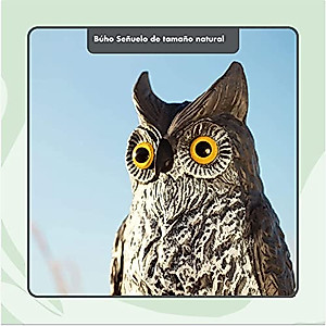 Bird Blinder Owl Decoy (16.5 Inch Tall) Natural Enemy Bird Deterrent, Great Horned Owl to Keep Birds Away - Owl Decor to Protect Gardens from Wildlife - Scarecrow for Outdoors or Indoors