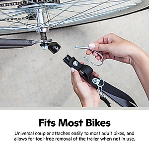 Schwinn 13-SC315 Rascal Bike Pet Trailer, For Small and Large Dogs, Lightweight, Tow with Bicycle, Up to 50 lbs. Small, Orange/Grey