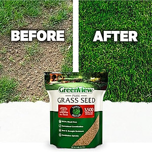 GreenView Pure Grass Seed Sunny Mixture, 20 lb. Bag – Covers up to 10,000 sq. ft.