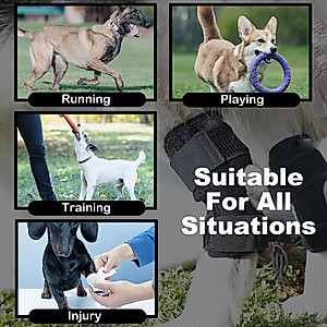 IEhotti Dog Leg Brace for Rear Leg/Hock/Ankle, Dog Hip Brace for Bottom Joint Post-Operative Recovery, Strong Support Help, Dog Braces for Torn ACL CCL Leg Injuries, 1 Pair, Medium