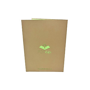 PopLife 3D Pop-Up Card - Welcome Home, Mother's Day