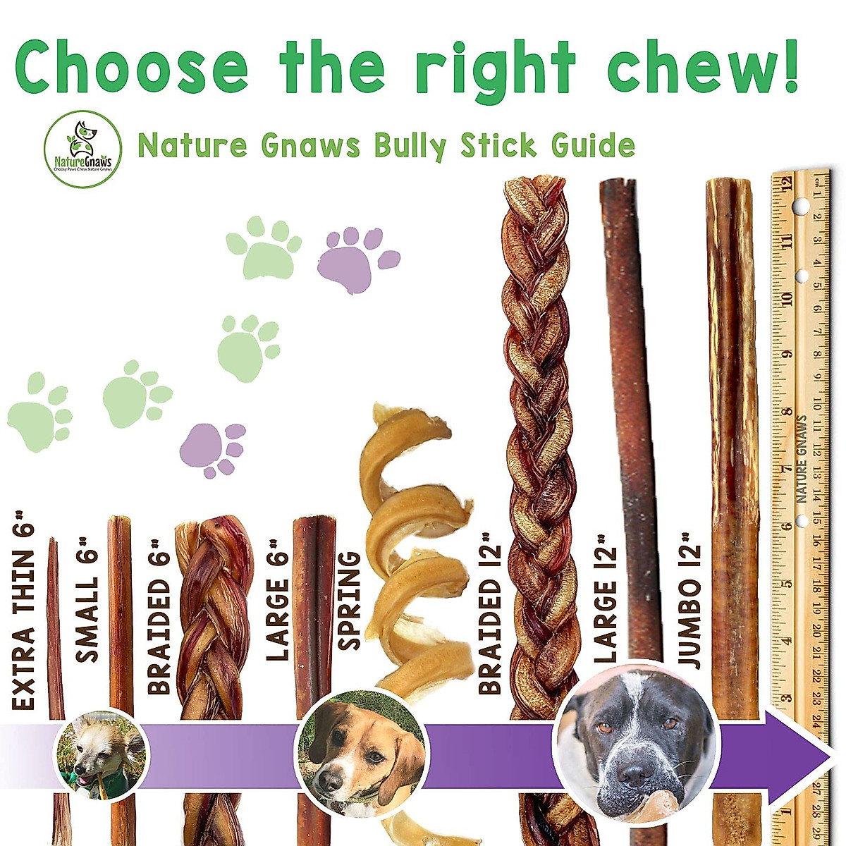 Nature Gnaws Bully Stick Springs for Dogs - Premium Natural Beef Dental Bones - Long Lasting Curly Dog Chew Treats for Aggressive Chewers - Rawhide Free 25 Count (Pack of 1)