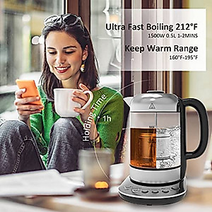 Davivy Electric Kettle Temperature Control With Tea Infuser, Keep Warm +4 Variable Presets Electric Tea Kettle, 1500W Smart Water Boiler with Dry-Boil Protection,1.7L (Borosilicate Glass)