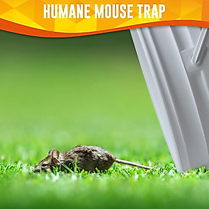 Mouse Trap Bucket,Upgraded Rat Trap Bucket,Bucket Lid Mice Trap,Auto Reset Rat Trap Compatible 5 Gallon Bucket-Transparent