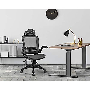 Office Chair Ergonomic Desk Chair Mesh Computer Chair with Lumbar Support Headrest Flip UP Arms Rolling Swivel Adjustable Task Chair for Adults(Grey)