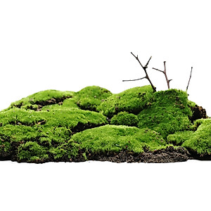 MECCANIXITY Static Grass, Nylon Artificial Grass Powder 3mm 2 x 30g Artificial Grass Fake Grass Tuft Model for Train Landscape Railway Sand Ground,White, Pack of 2