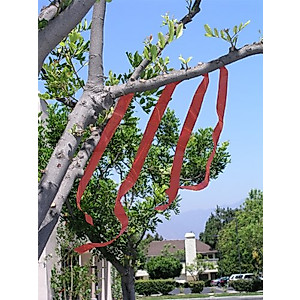 Bird B Gone MMFT-050 Flash Tape Bird Deterrent 1" x 50 ', Pack of 1